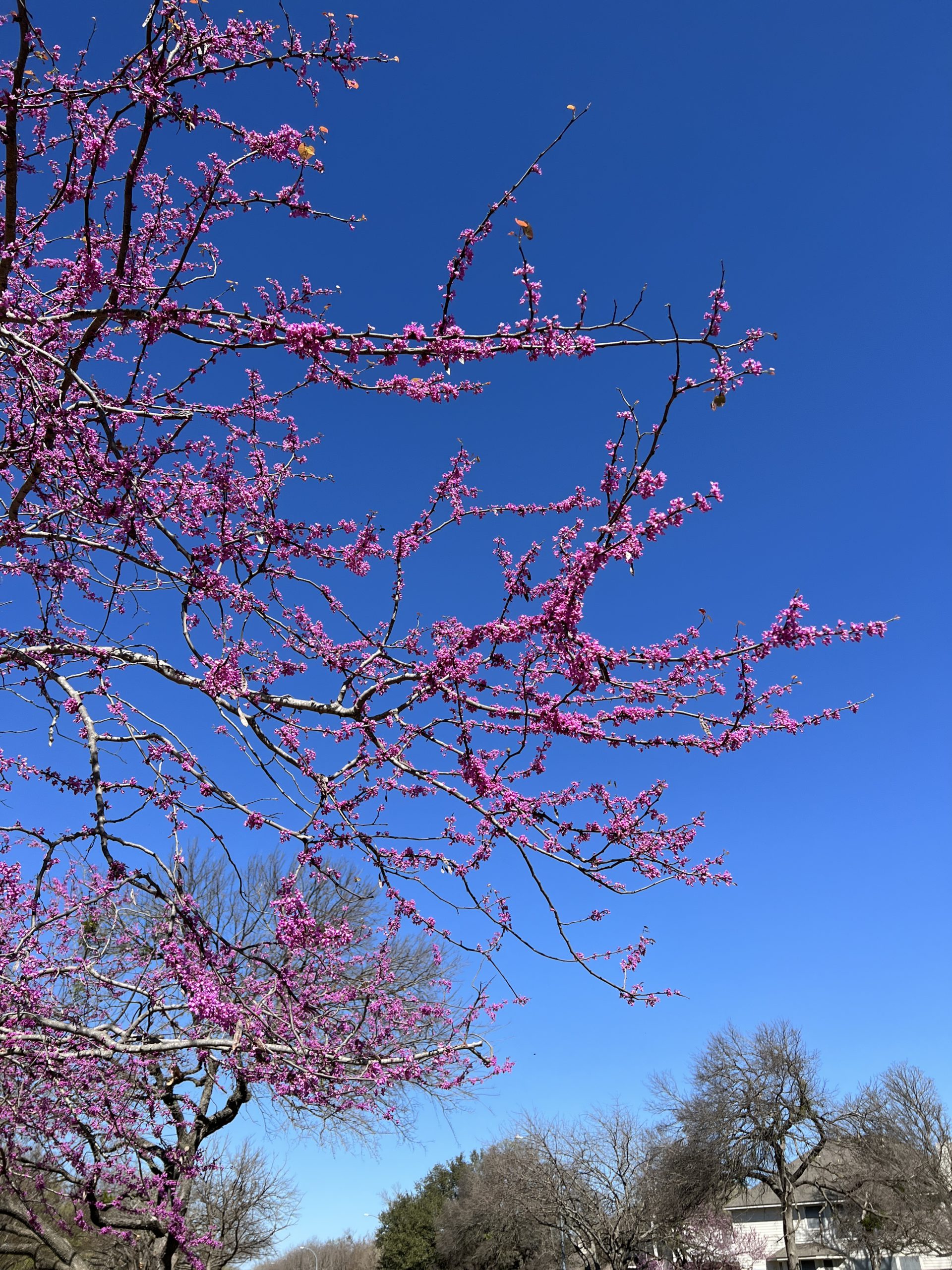 Rev. Jessica Petersen – Reflections on God's extraordinary grace in the midst of ordinary life