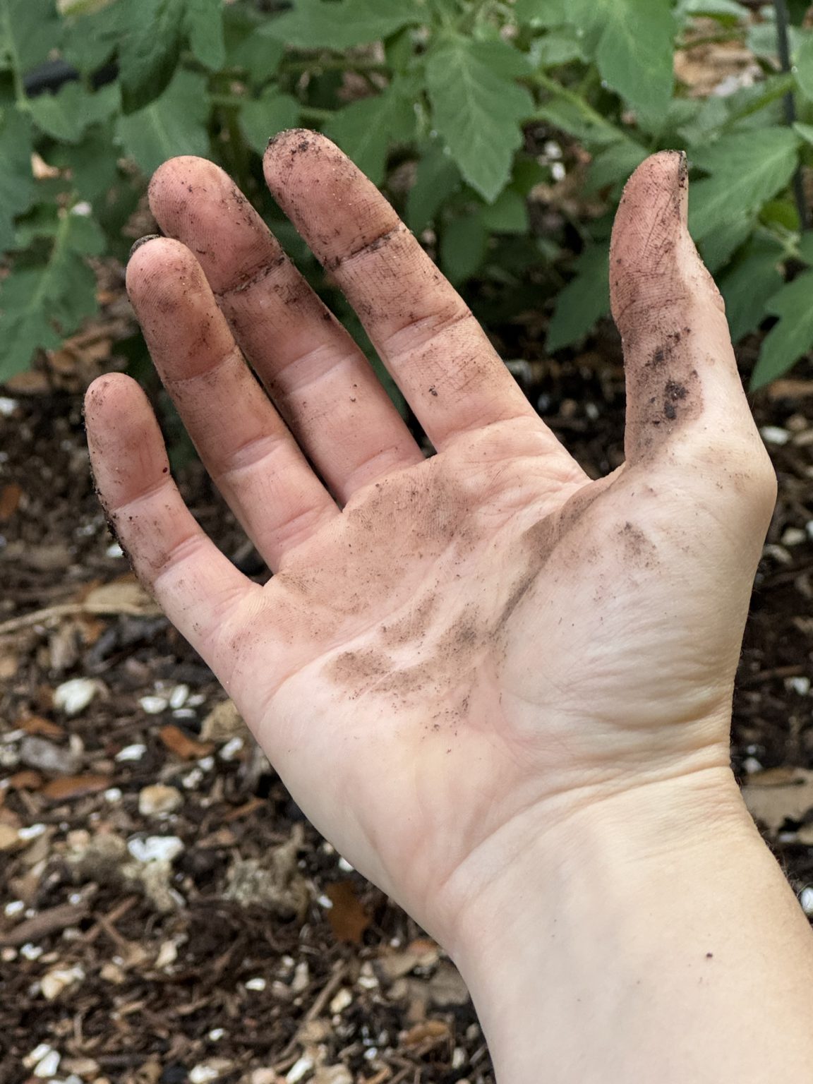 Pulling Weeds – Rev. Jessica Petersen